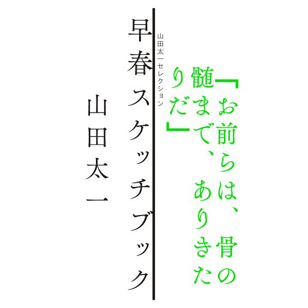 ※商品画像はイメージや仮デザインが含まれている場合があります。帯の有無など実際と異なる場合があります。著:山田太一出版社:里山社発売日:2016年12月シリーズ名等:山田太一セレクションキーワード:早春スケッチブック山田太一 そうしゆんすけ...