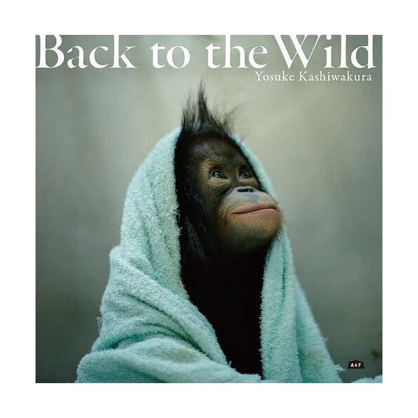 ※商品画像はイメージや仮デザインが含まれている場合があります。帯の有無など実際と異なる場合があります。著:YosukeKashiwakura出版社:エイアンドエフ発売日:2024年03月キーワード:BacktotheWild森を失ったオラン...
