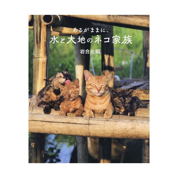 著:岩合光昭出版社:クレヴィス発売日:2020年12月キーワード:あるがままに、水と大地のネコ家族劇場版岩合光昭の世界ネコ歩き岩合光昭 あるがままにみずとだいちのねこかぞく アルガママニミズトダイチノネコカゾク いわごう みつあき イワゴウ...