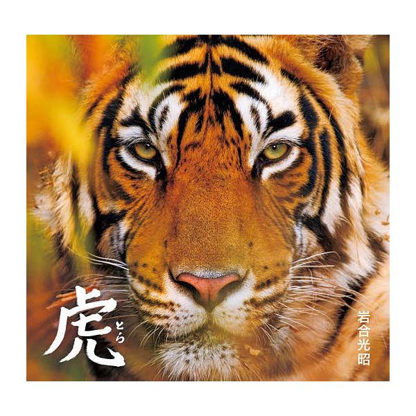 著:岩合光昭出版社:クレヴィス発売日:2021年12月キーワード:虎岩合光昭 とら トラ いわごう みつあき イワゴウ ミツアキ