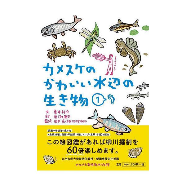 文:亀井裕介　絵:田渕周平　監修:田中克出版社:やながわ有明海水族館発売日:2022年12月巻数:1巻キーワード:カメスケのかわいい水辺の生き物１亀井裕介田渕周平田中克 かめすけのかわいいみずべのいきもの１ カメスケノカワイイミズベノイキモ...