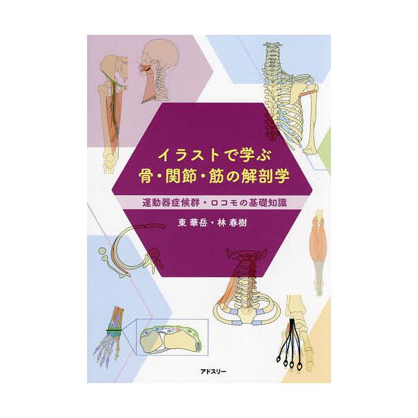 著:東華岳　著:林春樹出版社:アドスリー発売日:2023年10月キーワード:イラストで学ぶ骨・関節・筋の解剖学運動器症候群・ロコモの基礎知識東華岳林春樹 いらすとでまなぶほねかんせつきんの イラストデマナブホネカンセツキンノ あずま かがく...