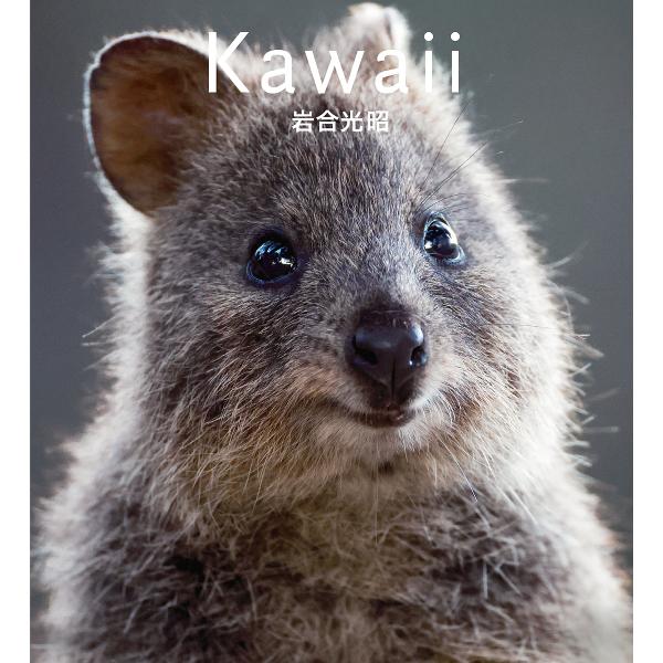※商品画像はイメージや仮デザインが含まれている場合があります。帯の有無など実際と異なる場合があります。著:岩合光昭出版社:クレヴィス発売日:2024年12月シリーズ名等:IWAGO’S BOOK １０キーワード:Kawaiiウォンバットクオ...