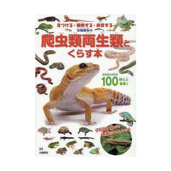 ※商品画像はイメージや仮デザインが含まれている場合があります。帯の有無など実際と異なる場合があります。監修:白輪剛史出版社:エムピージェー発売日:2025年05月キーワード:白輪園長の爬虫類両生類とくらす本見つける・観察する・飼育する白輪剛...