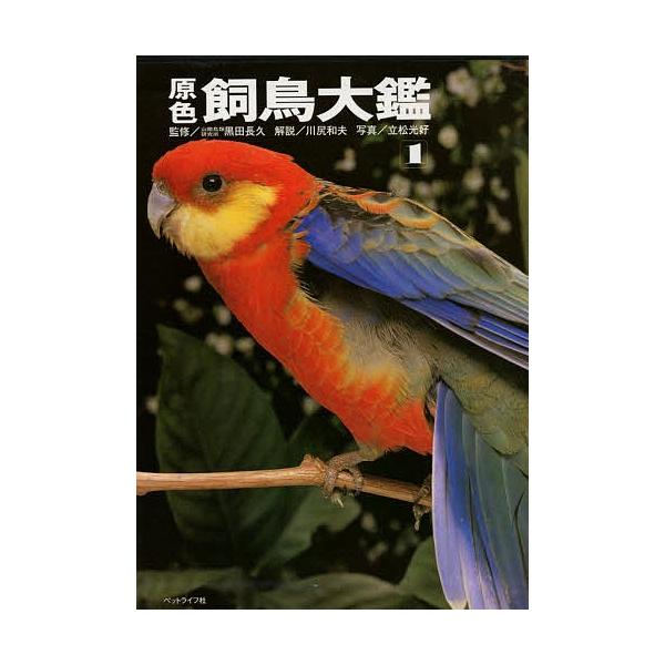 著:川尻和夫　写真:立松光好出版社:ペットライフ社発売日:1982年キーワード:原色飼鳥大鑑１川尻和夫立松光好 ペット げんしよくかいどりたいかん１ ゲンシヨクカイドリタイカン１ かわじり かずお たてまつ み カワジリ カズオ タテマツ ミ