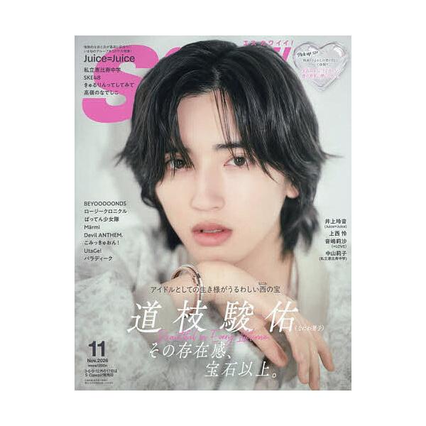 【発売日：2026年09月16日】※商品画像はイメージや仮デザインが含まれている場合があります。帯の有無など実際と異なる場合があります。出版社:主婦の友社発売日:2026年09月16日雑誌版型:Aヘンキーワード:SCawaii！（エスカワイ...