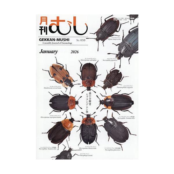 【発売日：2025年12月24日】※商品画像はイメージや仮デザインが含まれている場合があります。帯の有無など実際と異なる場合があります。出版社:むし社発売日:2025年12月24日雑誌版型:B5キーワード:月刊むし２０２６年１月号 むし ムシ