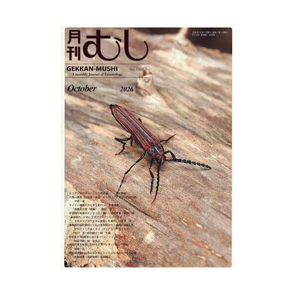 【発売日：2026年09月25日】※商品画像はイメージや仮デザインが含まれている場合があります。帯の有無など実際と異なる場合があります。出版社:むし社発売日:2026年09月25日雑誌版型:B5キーワード:月刊むし２０２６年１０月号 むし ムシ