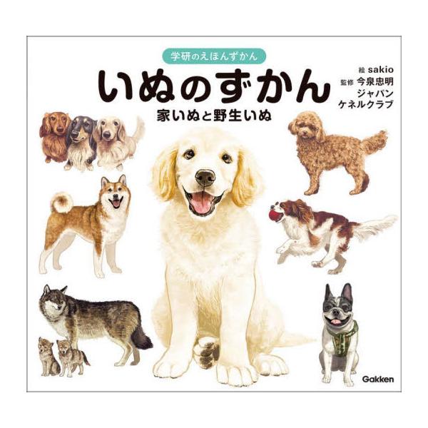 １冊まるごと「いぬ」を楽しむえほんずかん。絵本のような雰囲気で、図鑑のように学べます。家の犬と野生の犬のひみつがわかる。<br>ｓａｋｉｏ学研プラス2024年04月イヌ　ノ　ズカンサキオ/