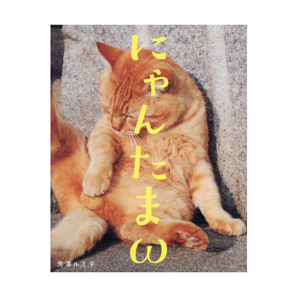 夕刊紙「日刊ゲンダイ」の特別号「日刊ニャンダイ」紙上でも大反響。キュートな猫のタマタマ「にゃんたまω」の待望の写真集第２弾！夕刊タブロイド新聞「日刊ゲンダイ」が年一度、猫の日(2月22日)近くに発売する、猫の特別号「日刊ニャンダイ」。その紙...