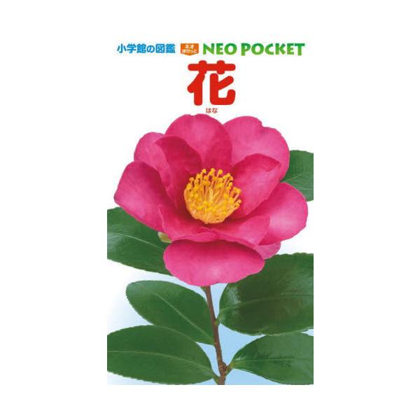 道ばたや野山にさく花から、栽培種や世界の花まで850種以上を紹介。美しい白バック写真でDNA分類順に並べているので、似ている種類も見分けやすい！草花遊びも充実していて持ち歩きに最適なポケット図鑑です。<br>小学館2023年04...