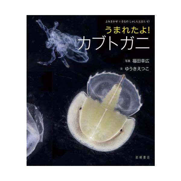 「生きた化石」と呼ばれるカブトガニの産卵と誕生の様子をクローズアップ！赤ちゃんの脱皮は、たいへん貴重な写真です。恐竜がいた時代から姿が変わらないため「生きた化石」と呼ばれているカブトガニ。その産卵と誕生の様子をクローズアップ！赤ちゃんの脱皮...