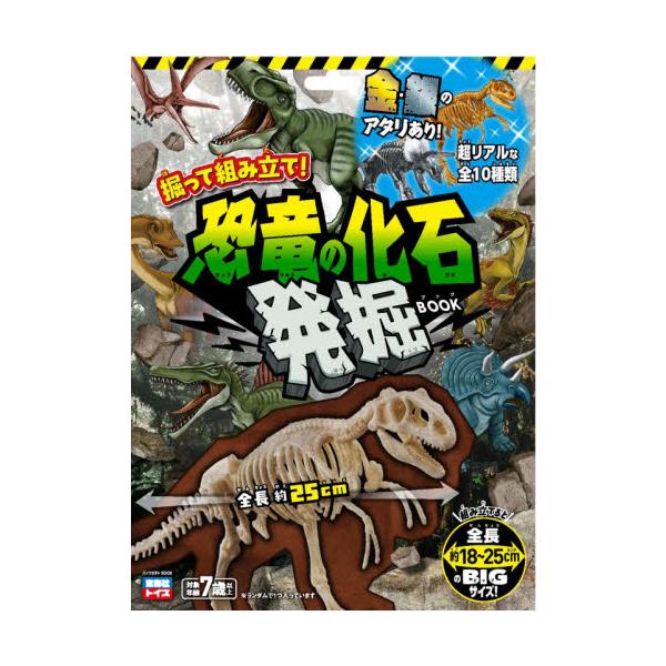 石こうを砕いて恐竜の骨を発掘！ 掘り出した骨を組み立てて骨格フィギュアを作ろう！ フィギュアは全10種類。金・銀のアタリもあるよ。集めれば、おうちで博物館が作れちゃう！ <br>●フィギュアは全10種類<br>●ティ...