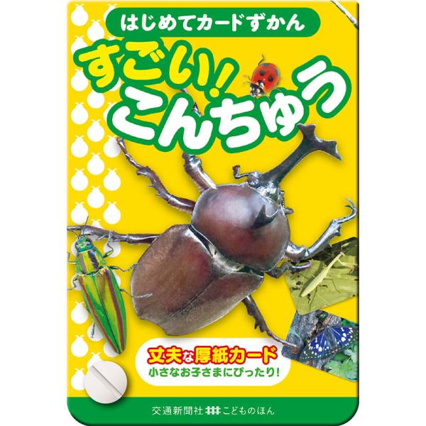 人気の昆虫が20種！<br> 持ち歩きに便利なカード式図鑑です<br><br>軽くてコンパクトな厚紙製のカード式図鑑です。<br> 表面には、子どもたちに人気の昆虫を配し、裏面には幼虫やその昆...