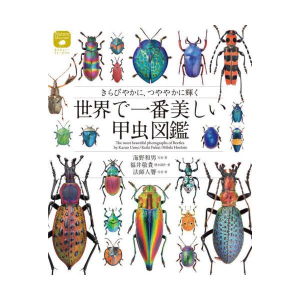 神秘的かつ美しい、甲虫のフォルムや自然界での生態を最新の写真で堪能できる。<br>海野和男誠文堂新光社2023年05月セカイ　デ　イチバン　ウツクシイ　コウチユウ　ズカンウンノ　カズオ/
