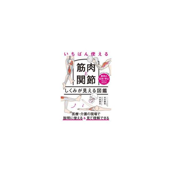 <br>末吉勝則（監修）／中永岡書店2026年04月イチバンツカエル　キンニクトカンセツスエヨシカツノリ（カンシユウ）／ナカタヤ/