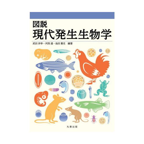 発生生物学の魅力を各項目ごとに見開き構成で示したユニークなテキスト。大学生の入門書として過不足のない内容となっている。<br>武田洋幸丸善2026年10月ズセツゲンダイハツセイセイブツガクタケダヒロユキ/