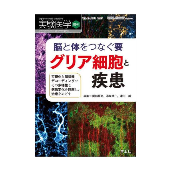脳神経の黒衣が主役に─見えてきた、グリア細胞の多様性と新機脳の記憶・睡眠・発達・疾患を読み解く鍵─イメージング・計測技術の発達が明らかにした、神経免疫・炎症・変性疾患にも深く関わるグリア細胞の多様な素顔<br>岡部繁男羊土社20...
