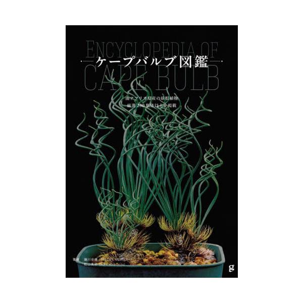 注目の球根植物、南アフリカのケープバルブ初の図鑑南アフリカの旧ケープ州を中心に自生する多様性に満ちた球根植物「ケープバルブ」。<br>今も現在進行形で新種や変異個体が見つかっている植物界のフロンティア的存在とも言える。<b...