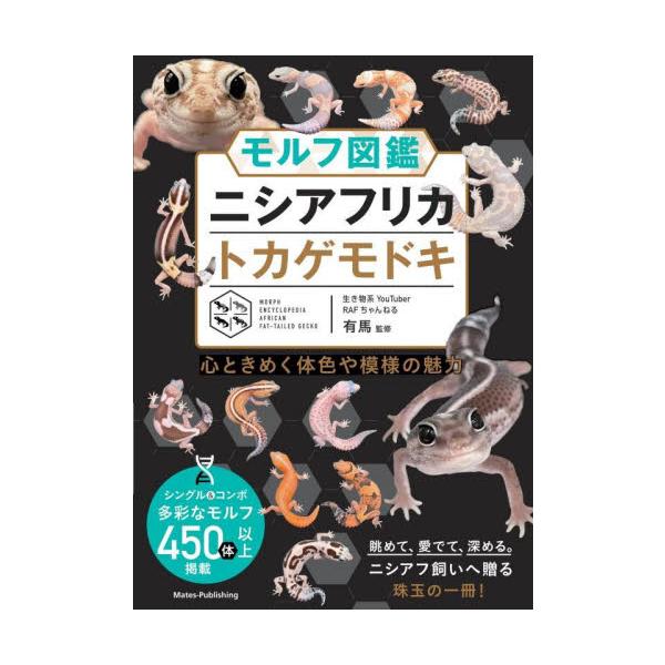 人気の高まっている「ニシアフリカトカゲモドキ」の図鑑<br>ＲＡＦちゃんねる有馬メイツ出版2025年10月モルフズカンニシアフリカトカゲモドキラフチヤンネルアリマ/