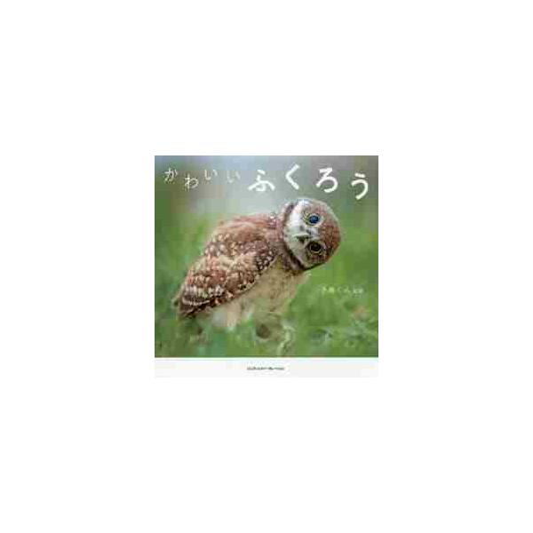 <br>♪鳥くん　著インプレスコミュニケーションズ2017年12月カワイイ　フクロウトリクン/