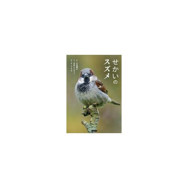 世界各地に28種生息する「せかいのスズメ」たちを紹介するビジュアルガイド。スズメたちの写真も多数掲載、新たな魅力に迫ります。<br>小宮輝之カンゼン2026年05月セカイノスズメコミヤテルユキ/