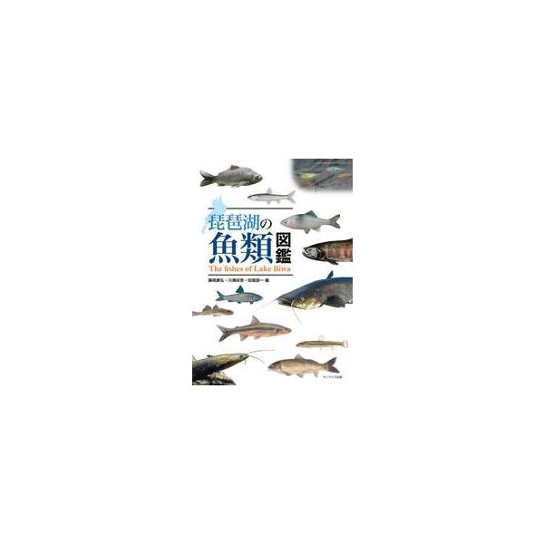 琵琶湖周辺にすむ魚類85種と主な貝類・甲殻類の生態と見分け方などを、最新研究成果も盛り込んで解説した待望の本格的図鑑。カラー写真約550点掲載。琵琶湖周辺にすむ魚類85種と主な貝類と甲殻類各10種の生態と見分け方、さらに琵琶湖の成り立ちや漁...