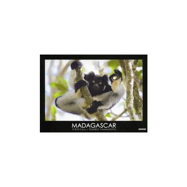 アフリカ大陸の南東、インド洋に浮かぶ島『マダガスカル』。その特異な自然環境は、他の地域では見られない独自の生態系を育んでいます。写真家・山本つねお氏は、この神秘的な島の魅力に惹かれ、独自の感性でその姿をカメラに収めました。本書では、マダガス...
