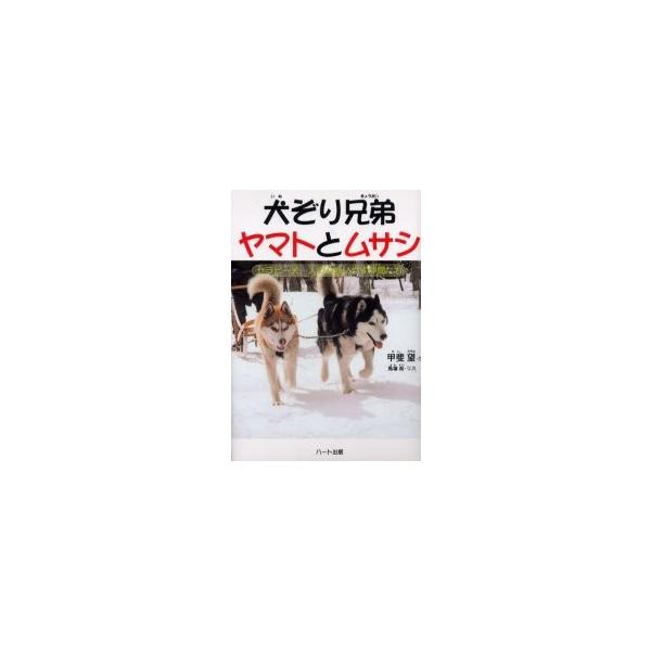 甲斐望／作ハート出版2002年03月