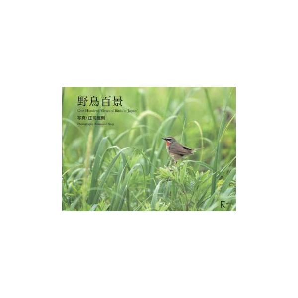 <br>庄司　雅則　写真ラトルズ2015年12月ヤチヨウ　ヒヤツケイ　ワン　ハンドレツド　ビユ−ズ　オブ　バ−ズシヨウジ　マサノリ/