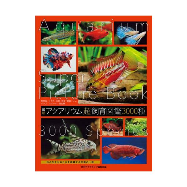 <br>月刊アクアライフ編集エムピージェー2026年04月サイシンアクアリウムチヨウシイクズカン３０００シユゲツカンアクアライフヘンシユウブ/