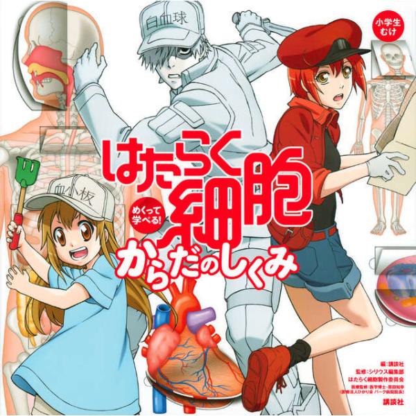 ※この商品は新品です※大人気アニメ『はたらく細胞』のイラストで学ぶ、人体のしかけ絵本。からだの中はどうなっているの？　食べたものはからだのどこを通ってうんちになるの？　おしっこはどうやってできるの？　絵本の小さな小窓をめくると、からだのしく...