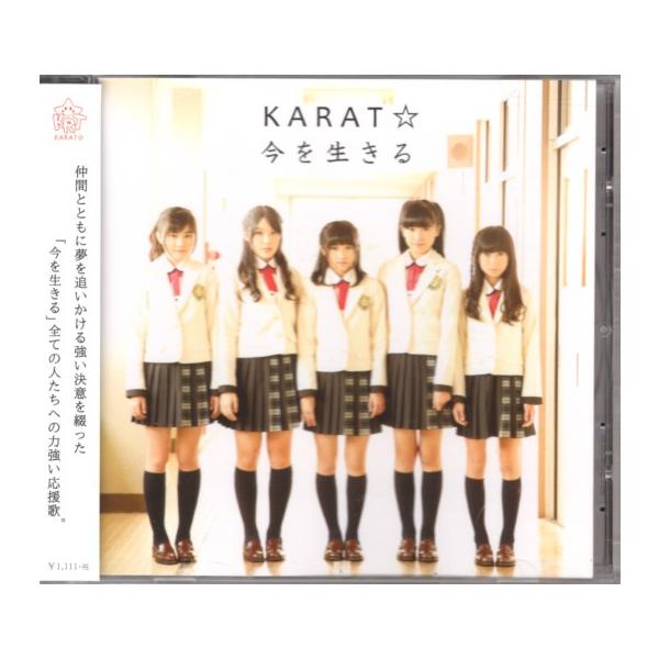 中古品です。・改めて動作確認せずに出荷いたします。プレーヤーによっては一部音飛びや再生自体できない可能性もございます。・ジャケットにキズ・ハゲ・シワ・スジなど目立つダメージがある場合があります。・付属品（特典など）の欠品・有無は確認しており...