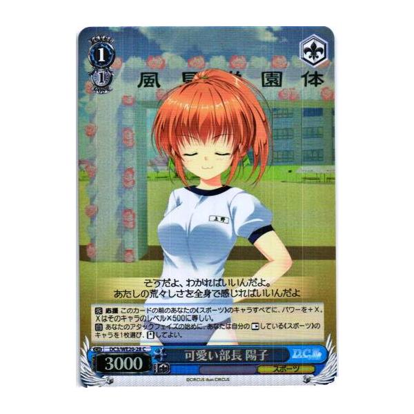 中古品です。折れのある物などダメージの特に酷い物は弾いていますが、基本的に使用感（スレ・角落ち等）のあるプレイ用レベルの物とお考えください。