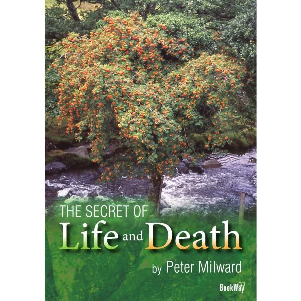Sooner or later, as we grow from childhood to adolescence, we all begin to reflect on the mystery of human life, why we ...
