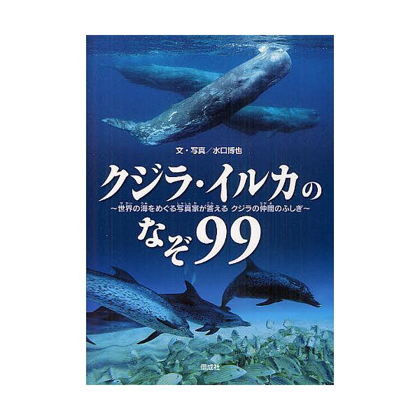 ※商品画像はイメージや仮デザインが含まれている場合があります。帯の有無など実際と異なる場合があります。文:水口博也出版社:偕成社発売日:2012年07月キーワード:クジラ・イルカのなぞ９９世界の海をめぐる写真家が答えるクジラの仲間のふしぎ水...