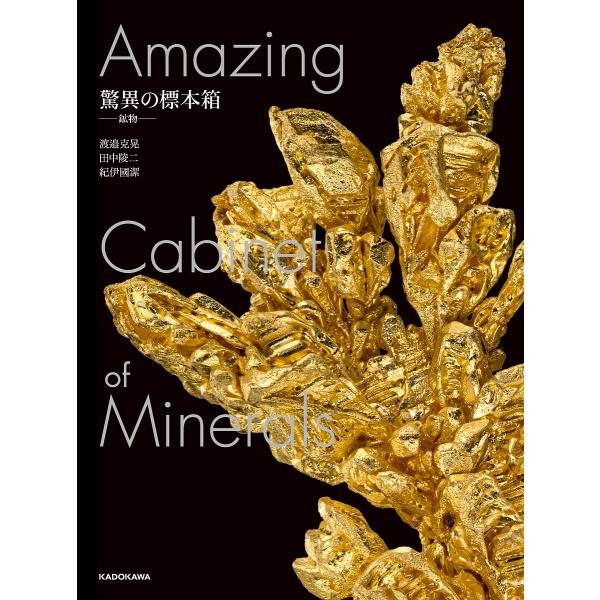 著:渡邉克晃　著:田中陵二　著:紀伊國潔出版社:KADOKAWA発売日:2025年03月キーワード:驚異の標本箱−鉱物−渡邉克晃田中陵二紀伊國潔 きよういのひようほんばここうぶつ キヨウイノヒヨウホンバココウブツ わたなべ かつあき たなか...