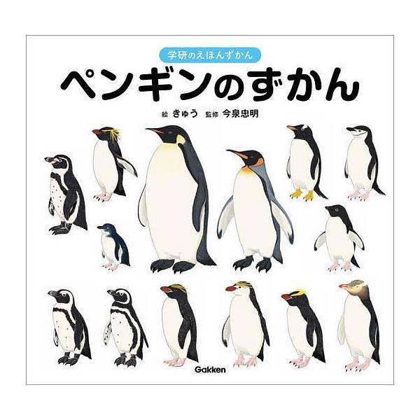 ※商品画像はイメージや仮デザインが含まれている場合があります。帯の有無など実際と異なる場合があります。絵:きゅう　監修:今泉忠明出版社:Gakken発売日:2023年06月シリーズ名等:学研のえほんずかん ５巻キーワード:ペンギンのずかんき...