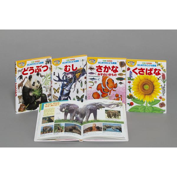 ※商品画像はイメージや仮デザインが含まれている場合があります。帯の有無など実際と異なる場合があります。出版社:Gakken発売日:2022年キーワード:なぜ？どうして？はじめてのこども図鑑学研の図鑑LIVE４巻セット プレゼント ギフト 誕...