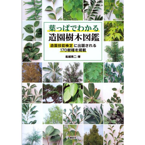 ※商品画像はイメージや仮デザインが含まれている場合があります。帯の有無など実際と異なる場合があります。著:船越亮二出版社:講談社発売日:2017年03月キーワード:葉っぱでわかる造園樹木図鑑造園技能検定に出題される１７０樹種を掲載船越亮二 ...