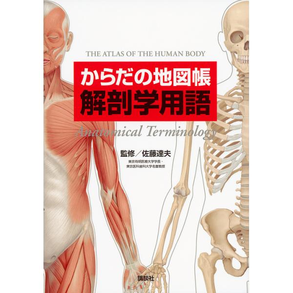監修:佐藤達夫出版社:講談社発売日:2016年04月キーワード:からだの地図帳解剖学用語佐藤達夫 からだのちずちようかいぼうがくようご カラダノチズチヨウカイボウガクヨウゴ さとう たつお サトウ タツオ