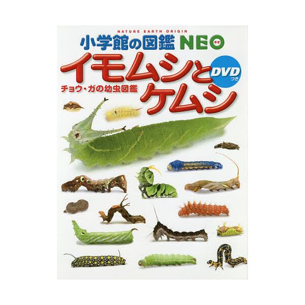 ※商品画像はイメージや仮デザインが含まれている場合があります。帯の有無など実際と異なる場合があります。執筆:鈴木知之　執筆:・写真・幼虫飼育横田光邦　執筆:・写真・幼虫飼育筒井学出版社:小学館発売日:2018年06月シリーズ名等:小学館の図...