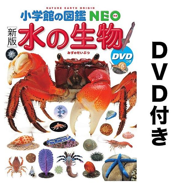 ※商品画像はイメージや仮デザインが含まれている場合があります。帯の有無など実際と異なる場合があります。ほか指導:白山義久　ほか撮影:・執筆松沢陽士　ほか撮影:楚山いさむ出版社:小学館発売日:2019年06月シリーズ名等:小学館の図鑑NEO ...