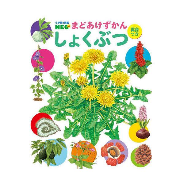 ※商品画像はイメージや仮デザインが含まれている場合があります。帯の有無など実際と異なる場合があります。ほか絵:Miltata　監修:塚谷裕一出版社:小学館発売日:2022年07月シリーズ名等:小学館の図鑑NEO まどあけずかんキーワード:し...
