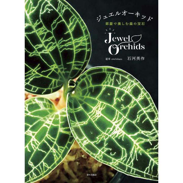 著:石河英作出版社:家の光協会発売日:2025年01月キーワード:ジュエルオーキッド部屋で楽しむ森の宝石石河英作 じゆえるおーきつどへやでたのしむもりの ジユエルオーキツドヘヤデタノシムモリノ いしこ ひでさく イシコ ヒデサク