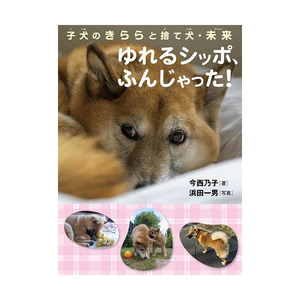 著:今西乃子　写真:浜田一男出版社:岩崎書店発売日:2021年07月キーワード:ゆれるシッポ、ふんじゃった！子犬のきららと捨て犬・未来今西乃子浜田一男 プレゼント ギフト 誕生日 子供 クリスマス 子ども こども ゆれるしつぽふんじやつたこ...