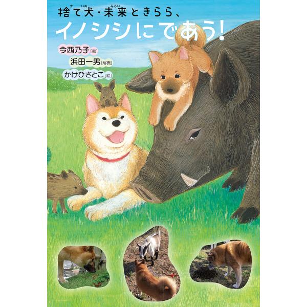 著:今西乃子　写真:浜田一男　絵:かけひさとこ出版社:岩崎書店発売日:2022年08月シリーズ名等:ノンフィクション・生きるチカラキーワード:捨て犬・未来ときらら、イノシシにであう！今西乃子浜田一男かけひさとこ プレゼント ギフト 誕生日 ...
