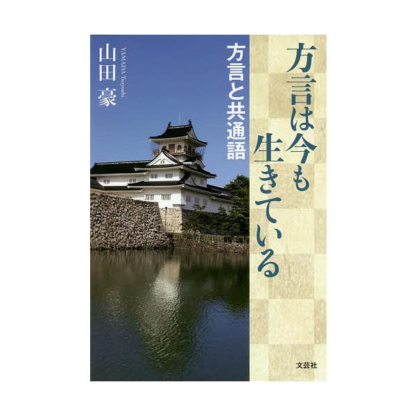 著:山田豪出版社:文芸社発売日:2020年10月キーワード:方言は今も生きている方言と共通語山田豪 ほうげんわいまもいきているほうげん ホウゲンワイマモイキテイルホウゲン やまだ つよし ヤマダ ツヨシ