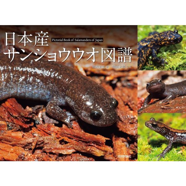 著:松井正文　写真:関慎太郎出版社:技術評論社発売日:2025年04月キーワード:日本産サンショウウオ図譜松井正文関慎太郎 にほんさんさんしよううおずふ ニホンサンサンシヨウウオズフ まつい まさふみ せき しんた マツイ マサフミ セキ シンタ
