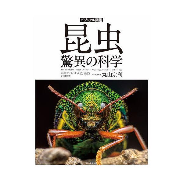 ※商品画像はイメージや仮デザインが含まれている場合があります。帯の有無など実際と異なる場合があります。編集:デイヴィッド・A．グリマルディ　訳:顧問中里京子　日本語版監修:丸山宗利出版社:河出書房新社発売日:2025年05月キーワード:ビジ...